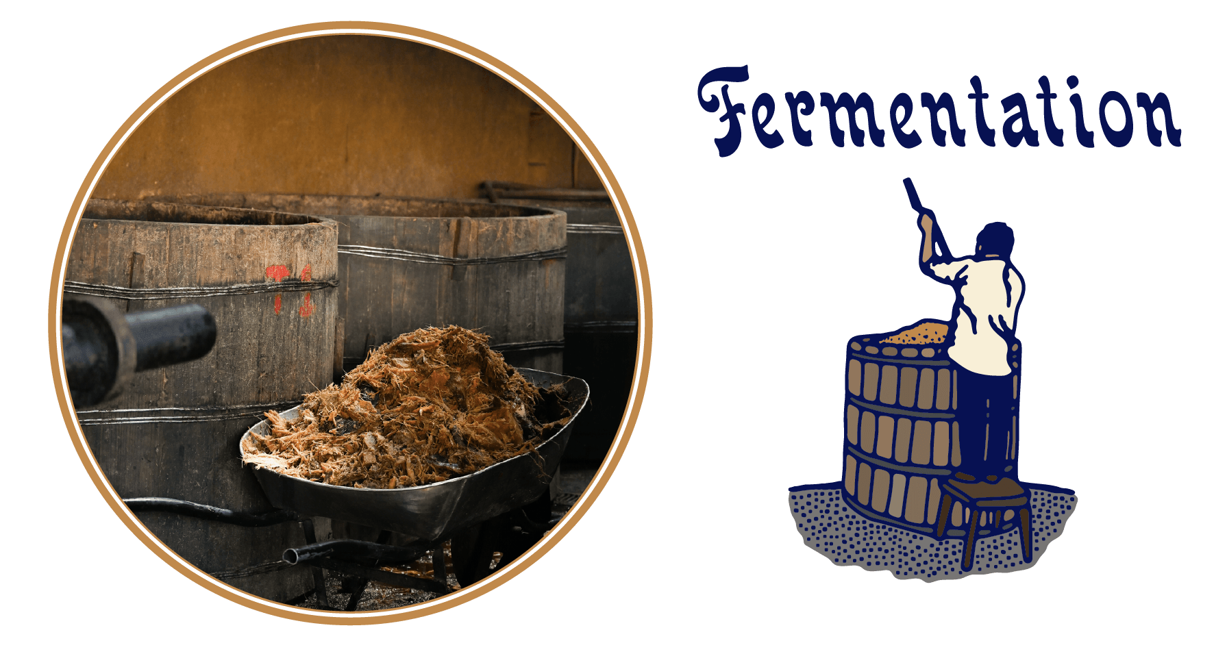How Paquera Mezcal Is Made – Traditional Oaxacan Process